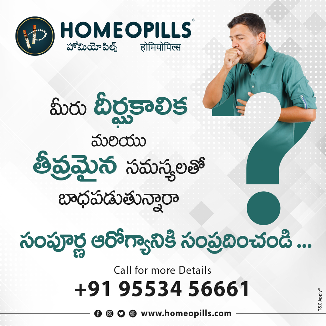 PORTFOLIO – Morphocreations